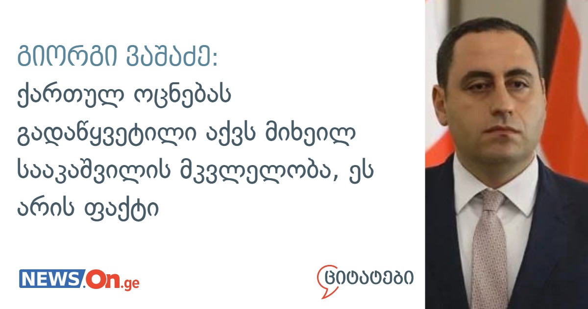 გიორგი ვაშაძე ქართულ ოცნებას გადაწყვეტილი აქვს მიხეილ სააკაშვილის